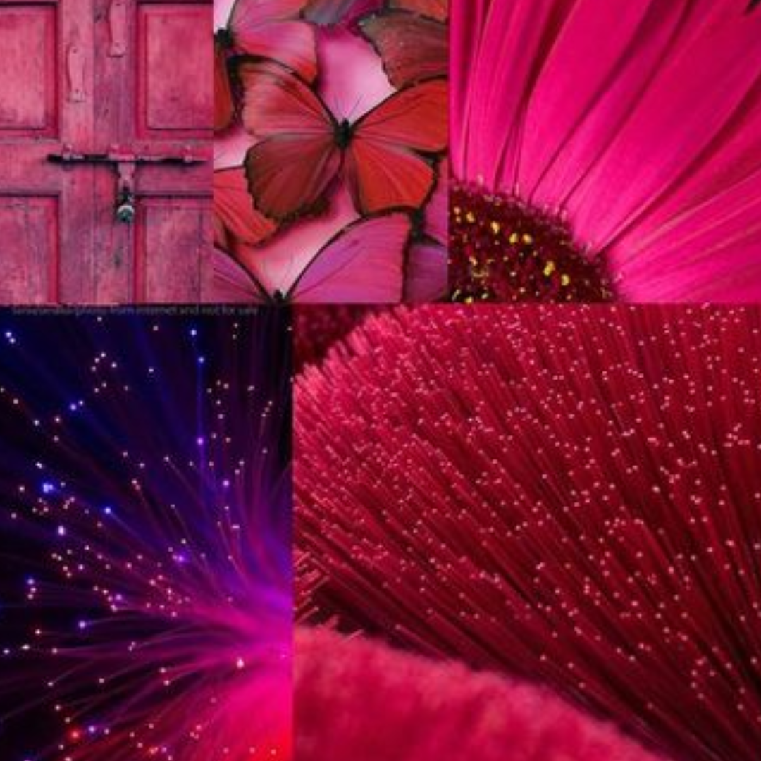 Viva Magenta - boja godine 2023 - Modna Kapsula